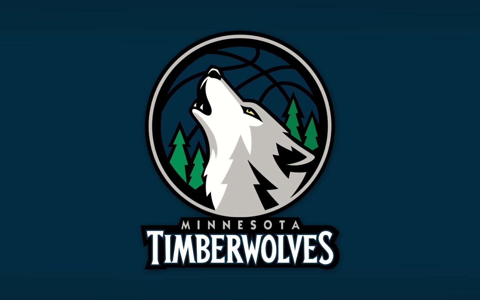 Minnesota Timberwolves - Jogadores, escalação, chart e news - Quinto Quarto