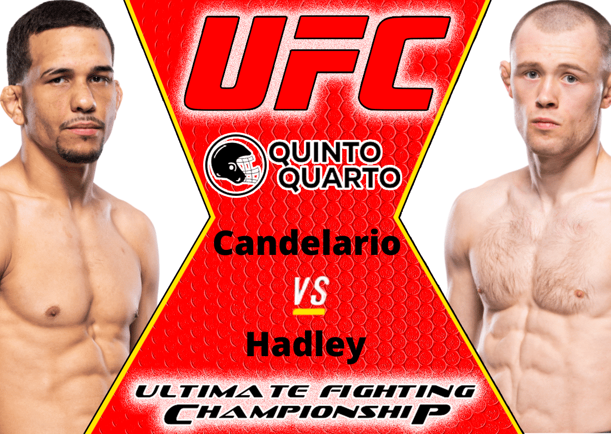 Carlos Candelario x Jake Hadley – Dica, palpite e prognóstico – 05/11 ...