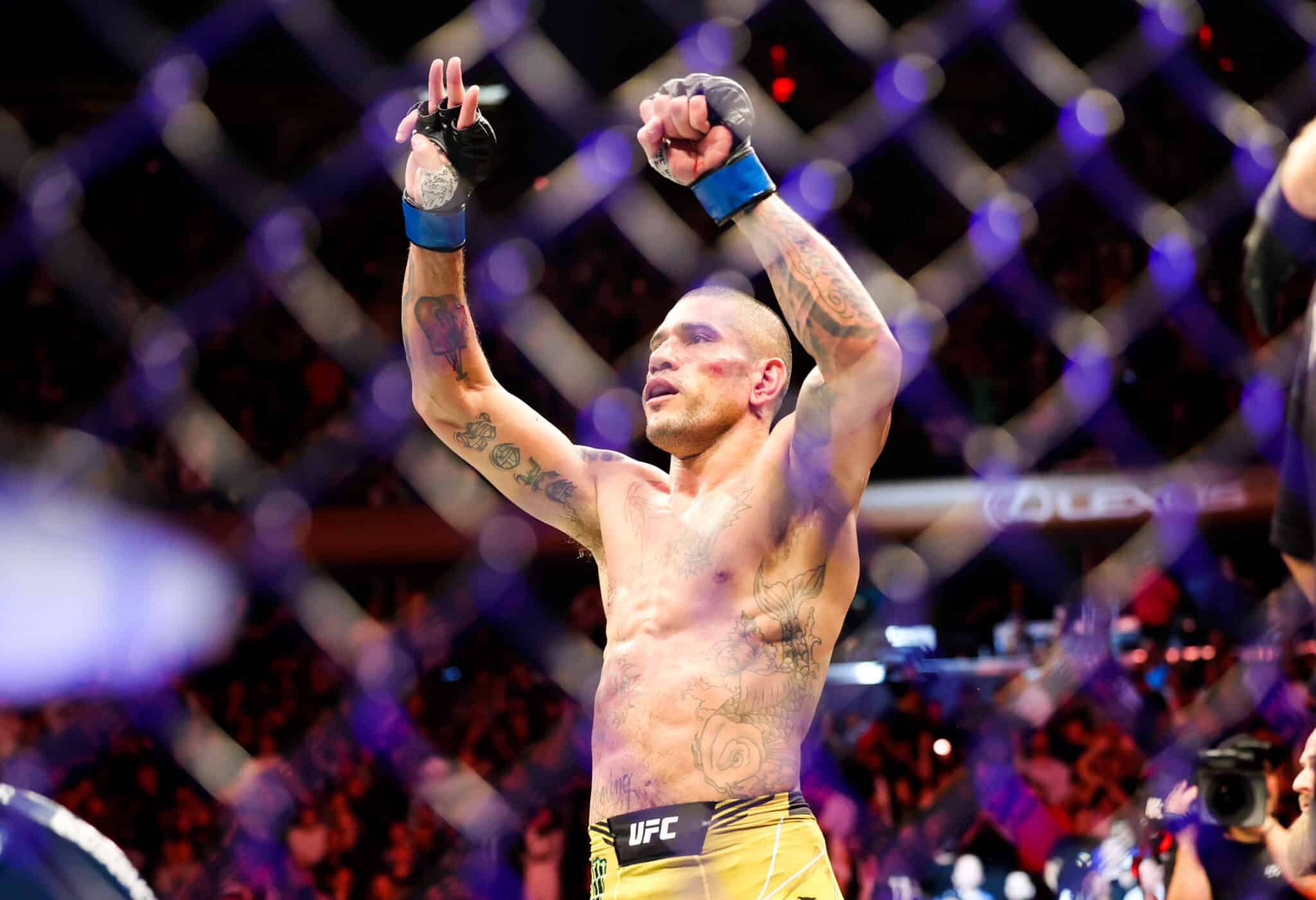 UFC: Poatan tem decifrado jogo do primeiro adversário dos meio-pesados ...